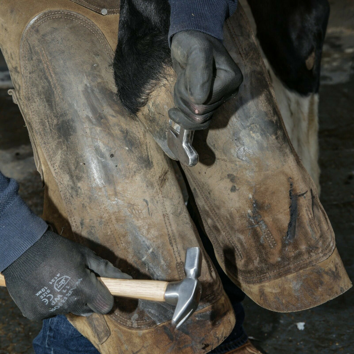 Farriers Equipment Tools | Modern Hoof Buffer | Right Left Clinch Cutt